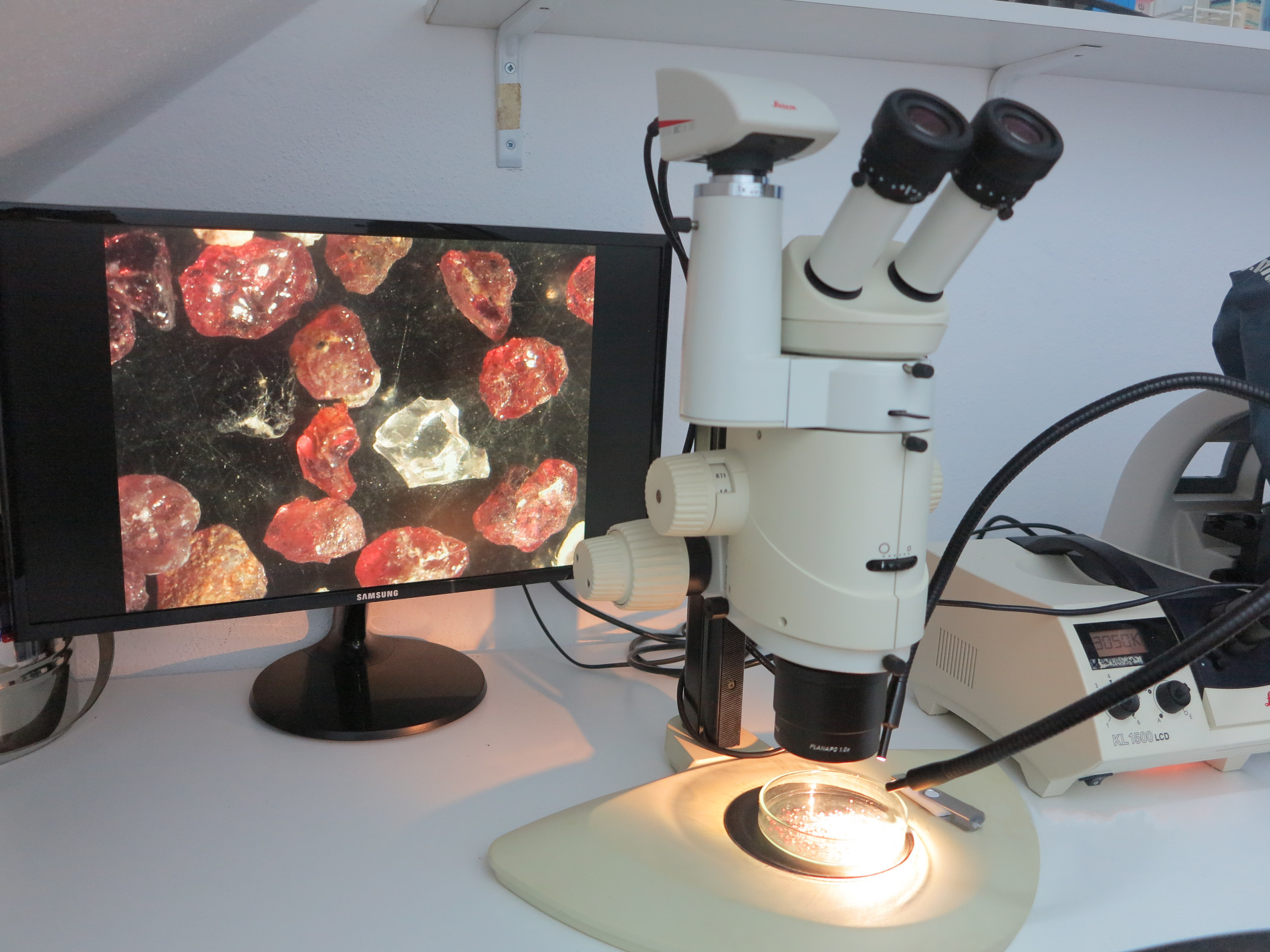 Geologia Marinha e Costeira – EEMT